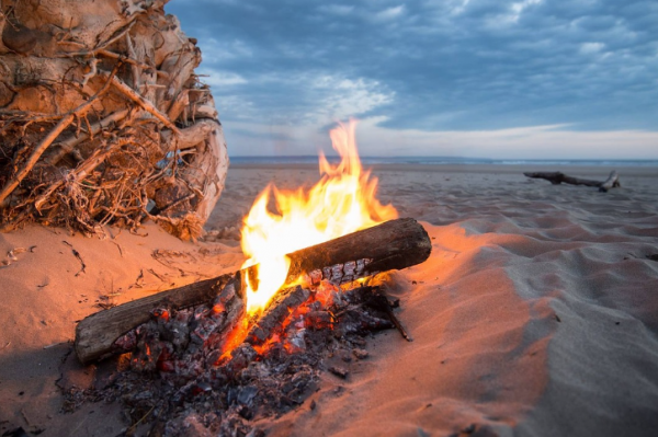 Ritual Litha para celebrar en la noche de San Juan - Verde Luna