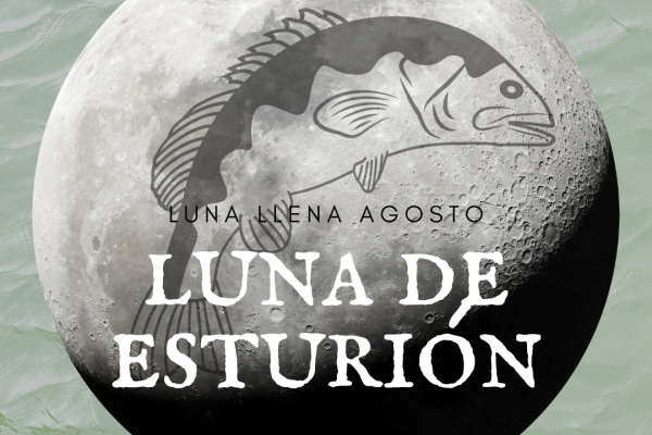 La abundancia de la luna llena de esturión - Verde Luna